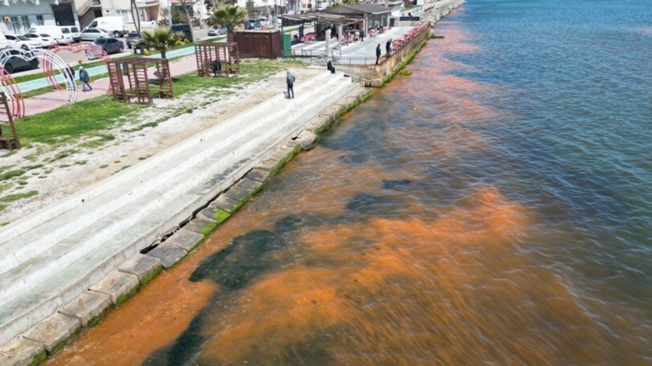 Tekirdağ'da plankton yoğunluğu! Denizin rengi değişti - Internet Haber